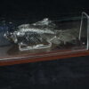 Liquid Chrome Paint | Top Quality Chrome Effect